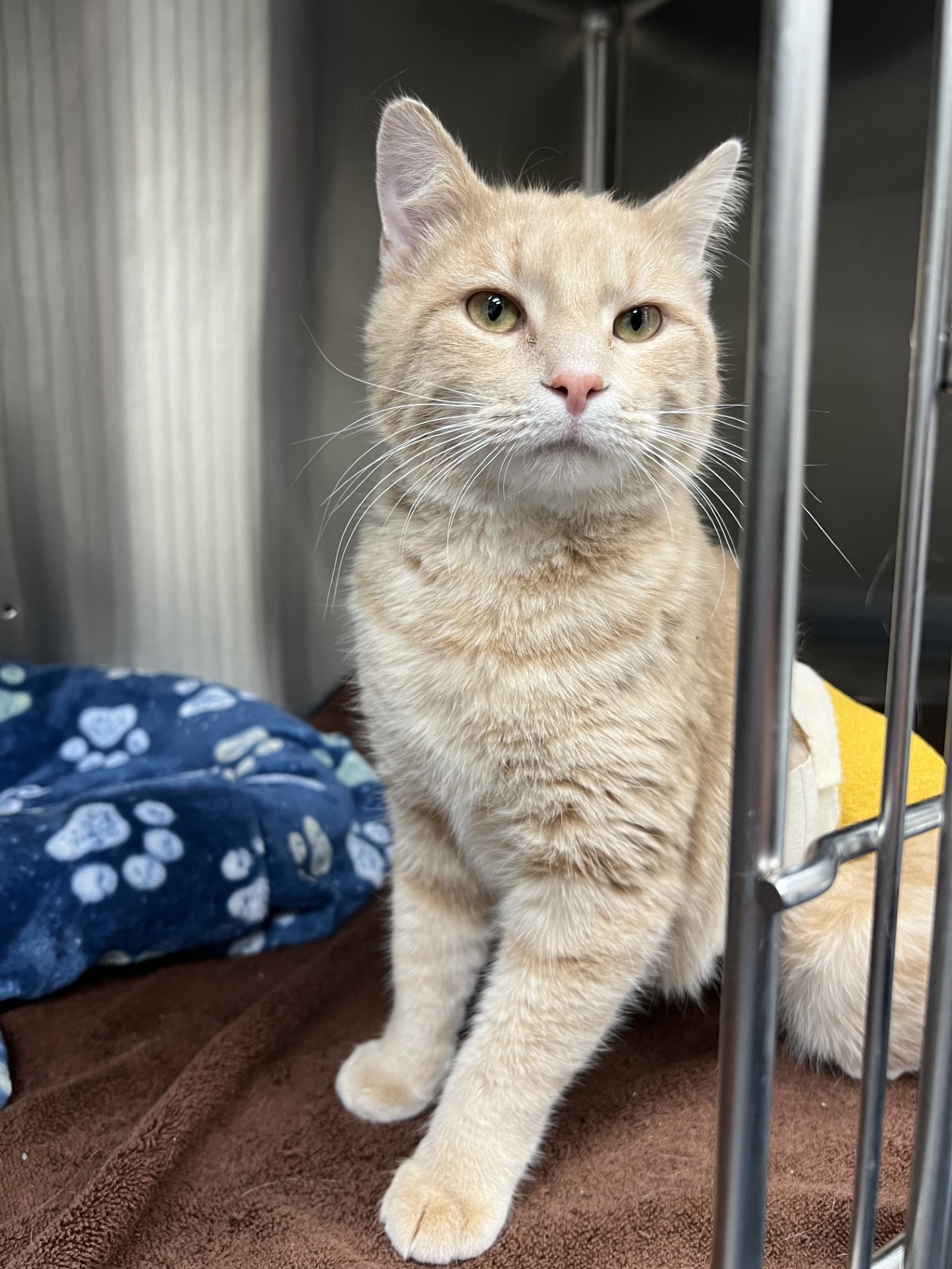 Year S End 2024 Catobear